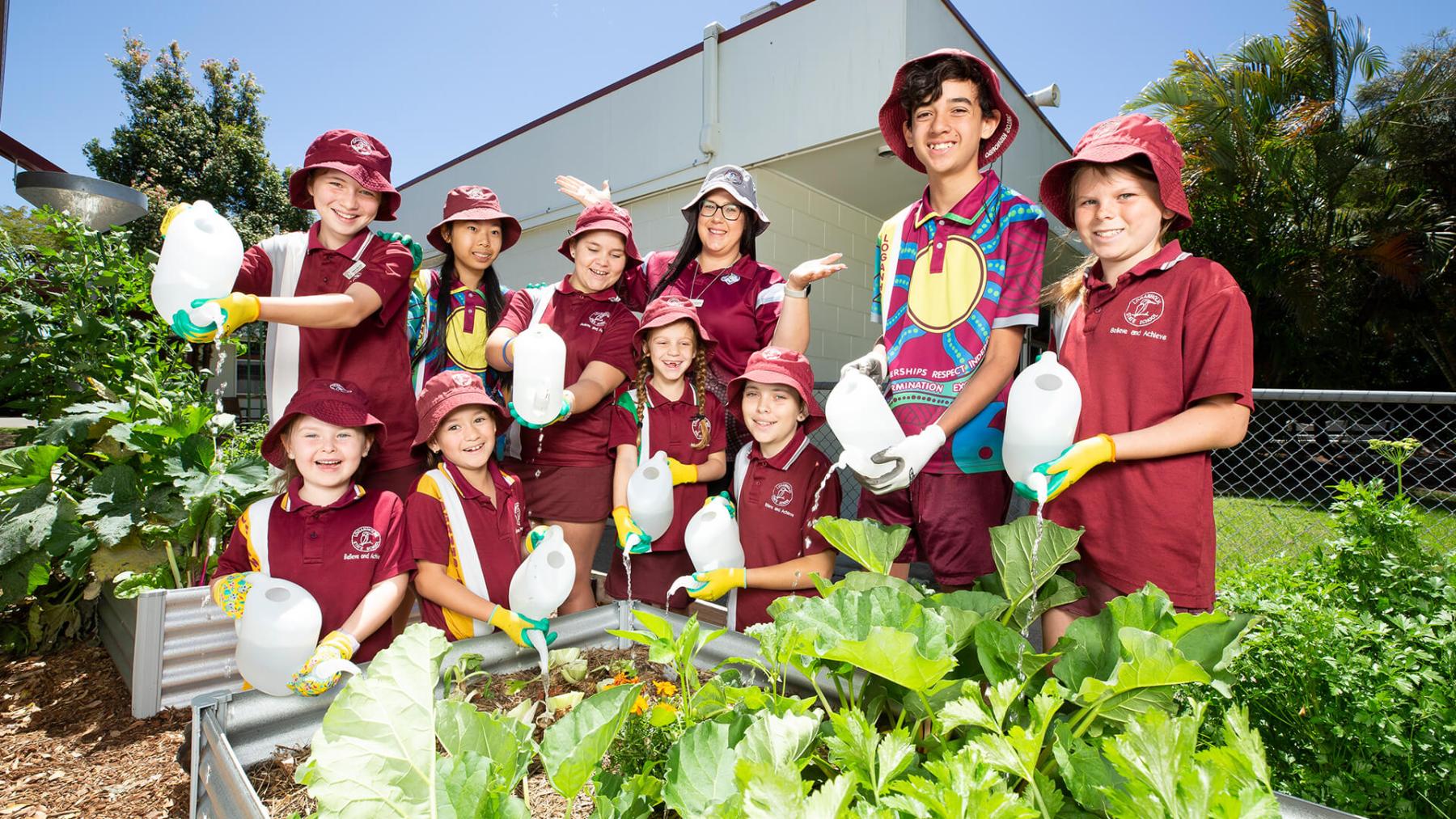 Grapevine Newsletter Issue 6 – T4 2022 | Life Ed Qld